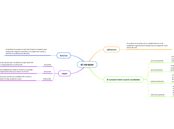 el corazon - Mind Map